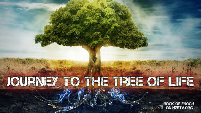 The Book of Enoch Video Commentary w/ David Carrico & Jon Pounders Part ...